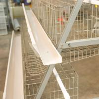 China Layer Chicken Battery Cage for Chicken Breeding for sale