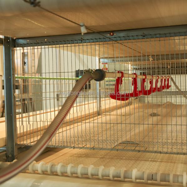 Quality H Type Battery Layer Duck Rearing Cage Breeding Duck Cages for Ducks Farm for sale