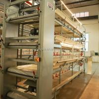 Quality H Type 3/4/5 Tiers Battery Duck Cage Laying Elevated Duck Cages for Egg Layer for sale