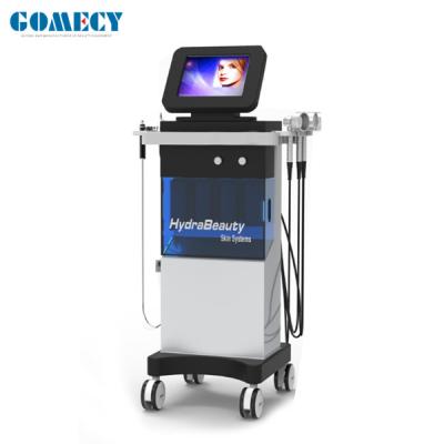 Cina 5 in 1 sistema facciale della pelle della macchina di bellezza di dermabrasion in vendita