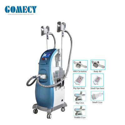 Cina Cryolipolysis multifunzionale che dimagrisce macchina per il fronte ed il corpo in vendita