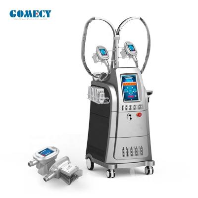 Cina Vuoto Cryolipolysis di Lipo che dimagrisce macchina con la funzione di calore in vendita