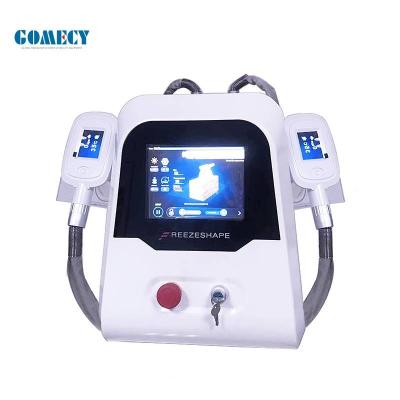 Cina 600W portatile 3 IN 1 attrezzatura di perdita di peso di Cryolipolysis della FDA in vendita