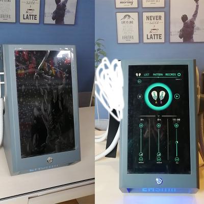 China Tragbare Körper-Skulptur-Maschine 100Hz Hiemt Emslim mit 4 Griffen for sale