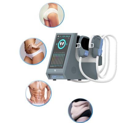 Cina Macchina 100HZ dello stimolatore del muscolo di HIFEM rf 100HZ SME per la combustione grassa in vendita