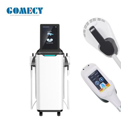China Machine 2 van Cryolipolysisemslim in 1 voor Verlies van het de Stimulatie het Vette Gewicht van de Lichaamsspier for sale