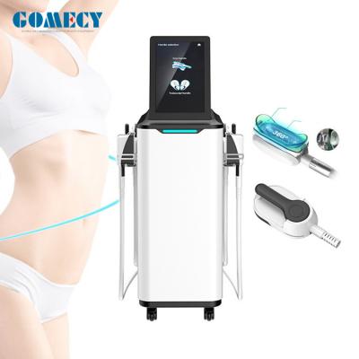Cina Sostituisca le tazze 4 maniglie che Emslim lavora la perdita a macchina del grasso di corpo portante del muscolo di Cryolipolysis in vendita