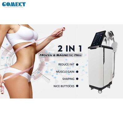 Cina Scolpire estetico del corpo di Cryolipolysis della costruzione del muscolo dell'attrezzatura di EMSlim HIEMT HIIT in vendita