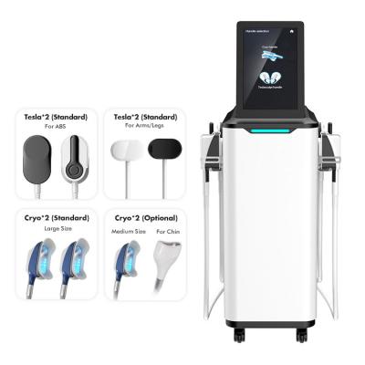 Cina 2 in 1 crioterapia Cryolipolysis che dimagrisce macchina 360 gradi in vendita