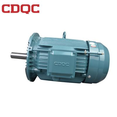 Cina 185KW-1600KW lo speciale ad alta temperatura del motore elettrico 3KV-11KV ha migliorato il fuso in vendita
