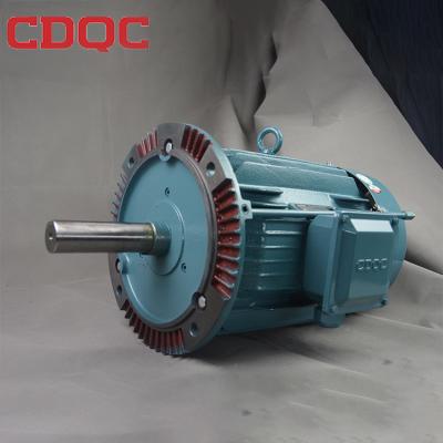 Cina 185KW-1600KW lo speciale ad alta temperatura del motore elettrico 3KV-11KV ha migliorato il fuso in vendita