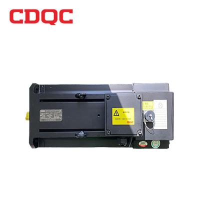 China Asynchroner Servomotor der Textilmaschinen-3000RPM IP55 55KW zu verkaufen