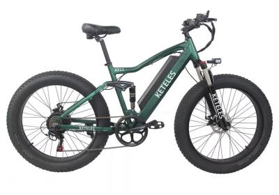 Cina 48V 250W Motor Electric Mountain Bike con batteria al litio da 10AH e batteria integrata in vendita