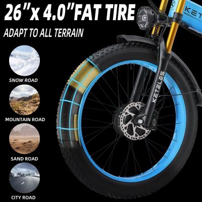 China SHIMANO Front Derailleur 26-Inch Electric City Bike with Removable Lithium Battery for sale