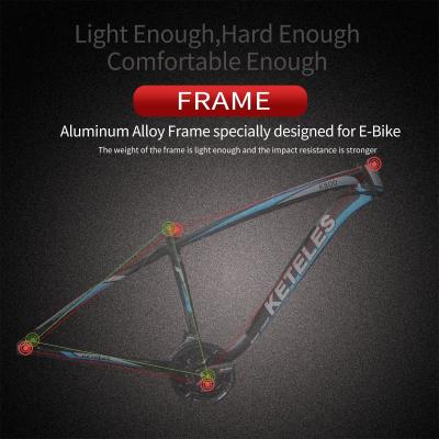 Cina 26AH 2000W Alta Potenza Due Ruote a Trazione Bicicletta Elettrica a doppio motore con 26x4.0 pollici Fat Tire in vendita