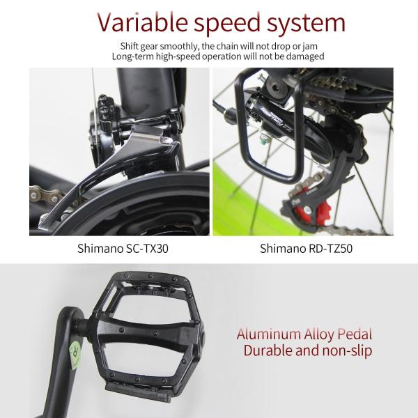 Quality 26AH 2000W High Power Two Wheel Drive Dual Motor Electric Bike with 26x4.0 inch for sale