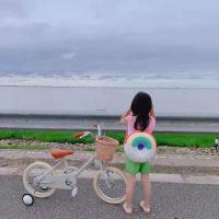 Quality Alloy Rim INS Style 16 Inch Retro Children's Bicycle Single Speed for 4-8 Year for sale