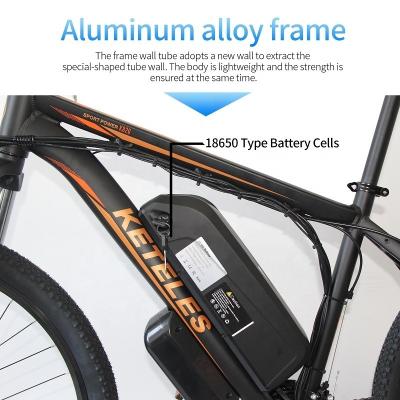 Cina Electric Mountain Bike 26