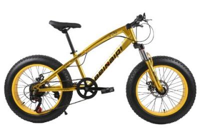 China 20 Inch Children's Beach Snow Bike 4.0 Fat Tire Mountain Bicycle with 7/21/24/27 Speeds for sale