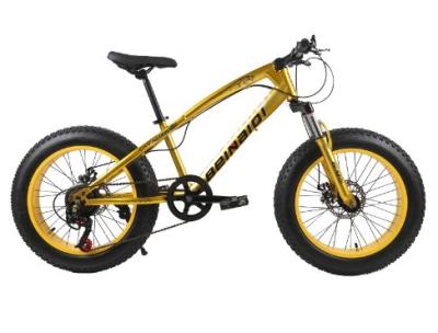 China 20 Inch Children's Beach Snow Bike 4.0 Fat Tire Mountain Bicycle with 7/21/24/27 Speeds for sale