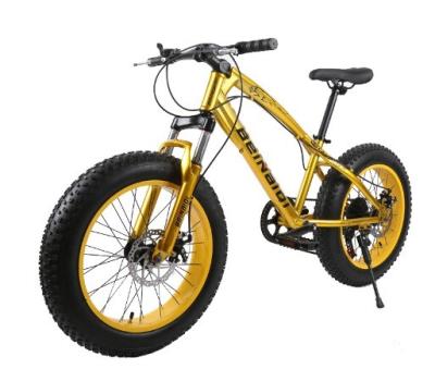 China 20 Inch Children's Beach Snow Bike 4.0 Fat Tire Mountain Bicycle with 7/21/24/27 Speeds for sale