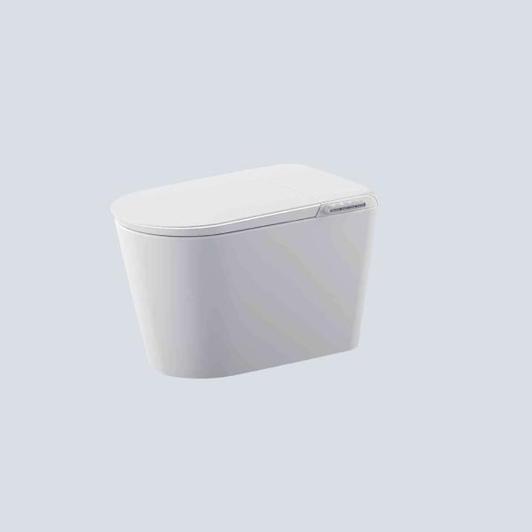 Quality Modern Bathroom Sanitary Wares Smart Siphonic Water Closet User Friendly for sale