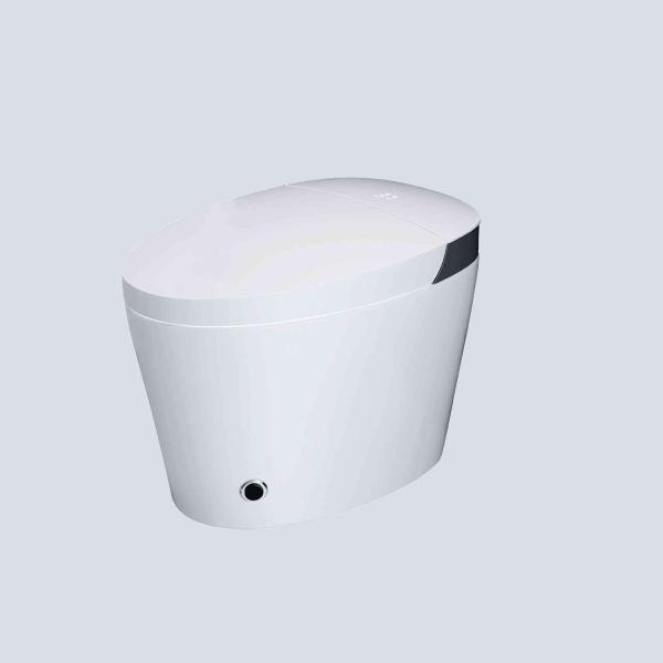 Quality Remote Control Siphonic Toilets Automatic Flip Modern Smart Toilet White With Flush Seat Heating for sale