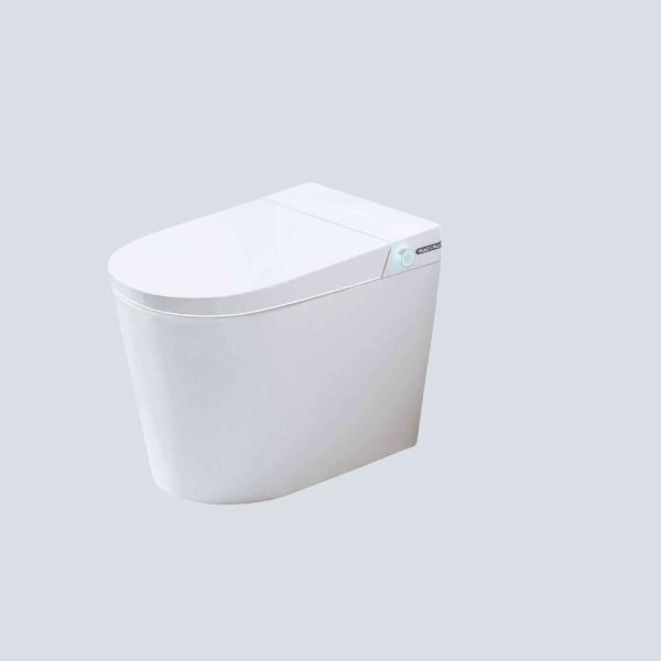 Quality White Bathroom Sanitary Wares Remote Control Wash Down Water Closet Modern Orin ORX51 for sale