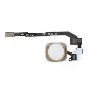 China White for iPhone 5s Home Button with PCB Membrane Flex Cable for sale