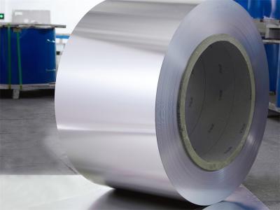 Cina Strati ASTM di acciaio inossidabile SS321 in vendita