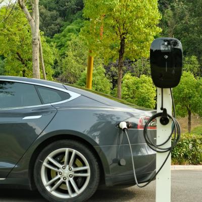 Cina Caricabatteria per auto elettrica AC 200V 32 Amp IP65 7kW Punto di ricarica domestico in vendita