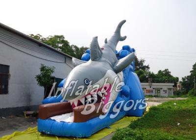 China Openlucht Commerciële de Huur Reusachtige Haai van Jonge geitjes Opblaasbare Dia's voor Festivalactiviteit Te koop