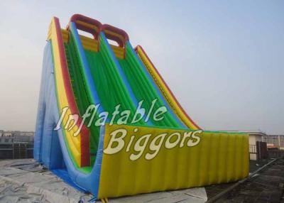 China Pvc van de Dia'sbouncy van binnenplaats Reuzejonge geitjes Opblaasbaar voor Jonge geitjes/Volwassenen Te koop