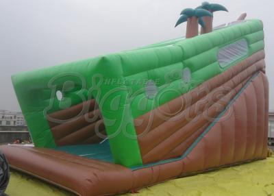 China Het dalen droogt de Schip Grote Pret voor Jonge geitjes Opblaasbare Dia's Dia's voor Opblaasbaar Park, Engels-14960 Te koop