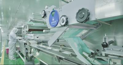 Cina Strofinate bagnate eliminabili dell'acqua organica di 99% adatte a salviettine per neonati della pelle sensibile in vendita