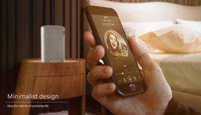 Cina Hepa domestico filtra il depuratore d'aria Ion Generator Air Purifier negativo di Ionizer del fumo in vendita
