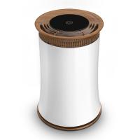 China Household Anion Air Purifier for sale