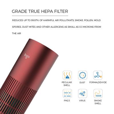 Cina Purificatore dell'aria dell'automobile di H13 HEPA in vendita