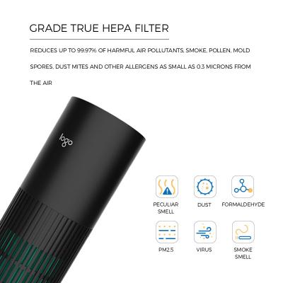 Cina Rimuove il purificatore Ionizer che dell'aria dell'automobile PM2.5 10 milione ioni negativi uccide 99,9% virus in vendita