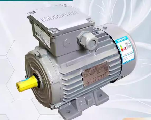 Quality 1LE0003-0DA22-1FA4 IEC Standard Motor Aluminum Frame Design for sale
