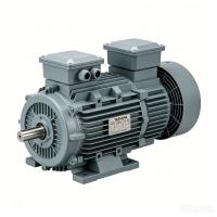 China YASKAWA YVP2-180M-4 18.5kW 380V Variable Frequency Drive Motor 1470rpm IP55 for sale