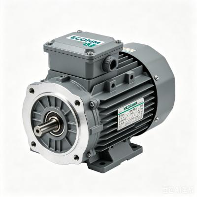 China YASKAWA ECOhIM-90L-4-LT 1.5kW ECO Series IE3 High-efficiency Low-temperature Industrial Motor for sale