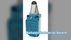 Reliable Limit Switch SZL WLE