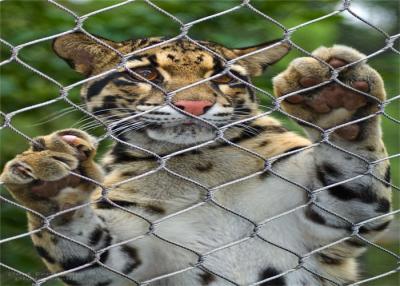 Cina 2 millimetri corda Mesh For Animal Cages di acciaio inossidabile di 90mm x di 50mm in vendita