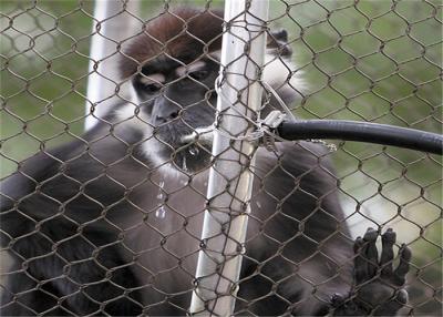 Cina 2 millimetri corda Mesh For Animal Cages di acciaio inossidabile di 90mm x di 50mm in vendita