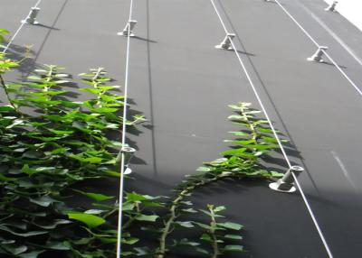 Cina parete 100*100mm di Mesh Green Plant Climbing Trellis della corda del puntale di 1.5mm per il giardino in vendita