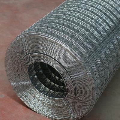 China 0.5m-2.4m Width Galvanized Welded Wire Mesh For Protecting Welded Wire Fencing Rolls for sale