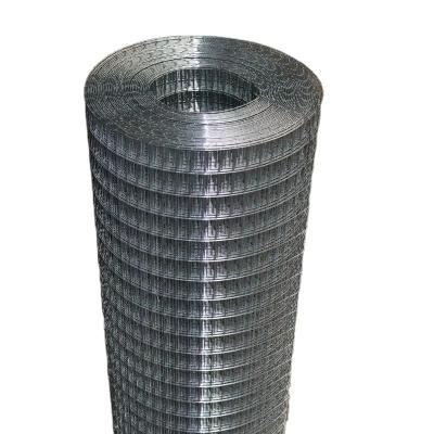 China 0.5m-2.4m Width Galvanized Welded Wire Mesh For Protecting Welded Wire Fencing Rolls for sale