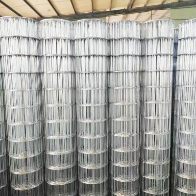 China Electric Galvanized  Roll type Welded Wire Mesh Square hole Rectangle hole for sale