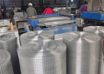 China Elektroplattierte geschweißte Maschenrolle aus Edelstahl zur Zaunisolierung zu verkaufen